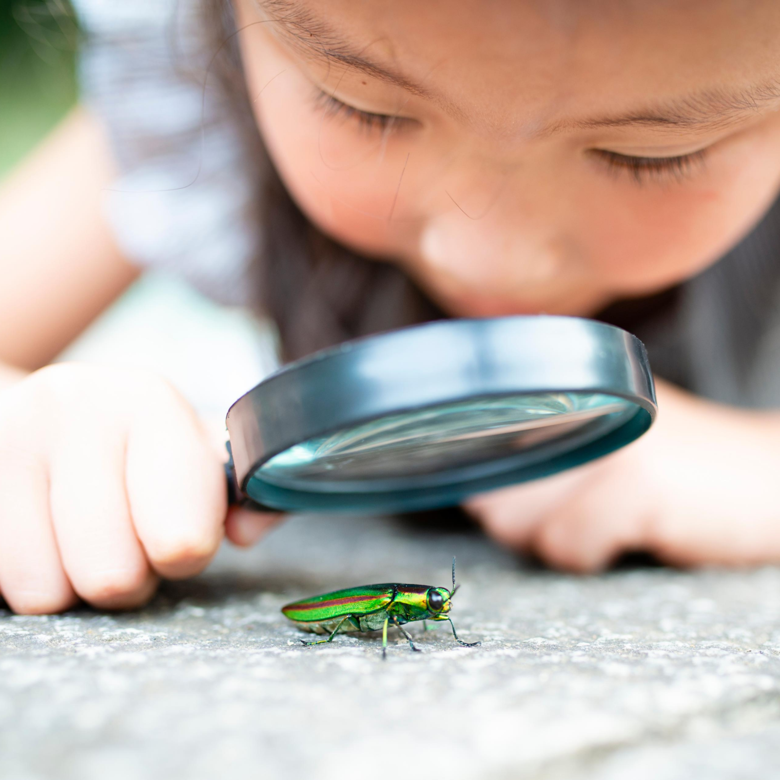 Five Ways Curiosity Can Enhance Your Life - Family Wealth Library