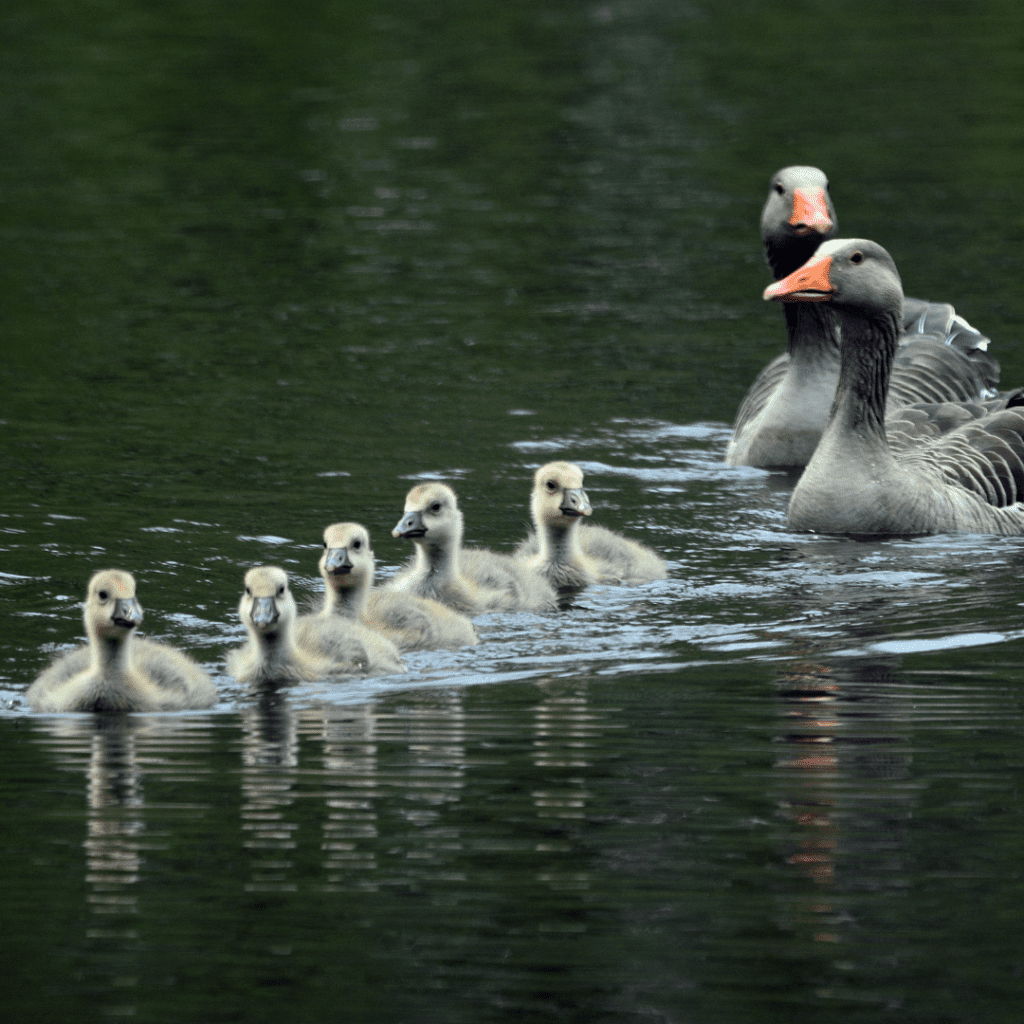 How to Build a Thriving and Connected Family of Wealth Across ...